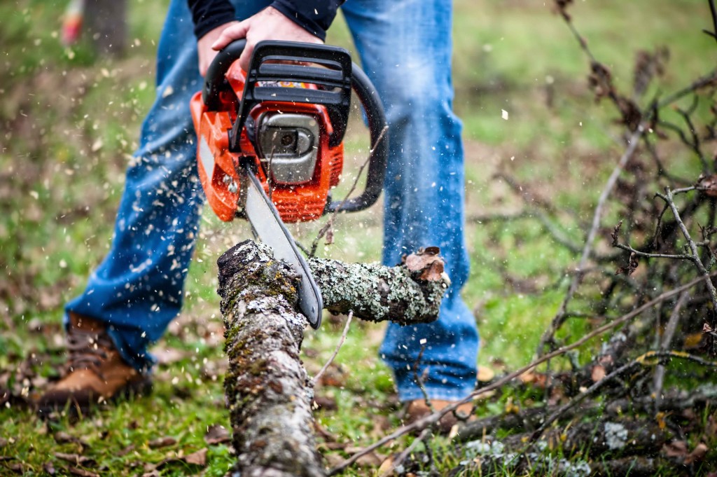 About Us | Tree Services in Crown Point