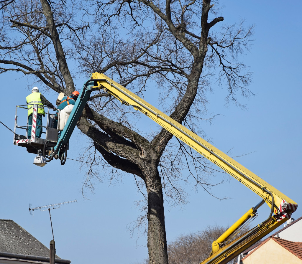 About Us | Tree Services in Crown Point